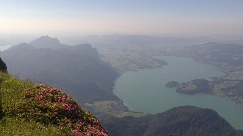 SUP Spot: Mondsee - SUPscout